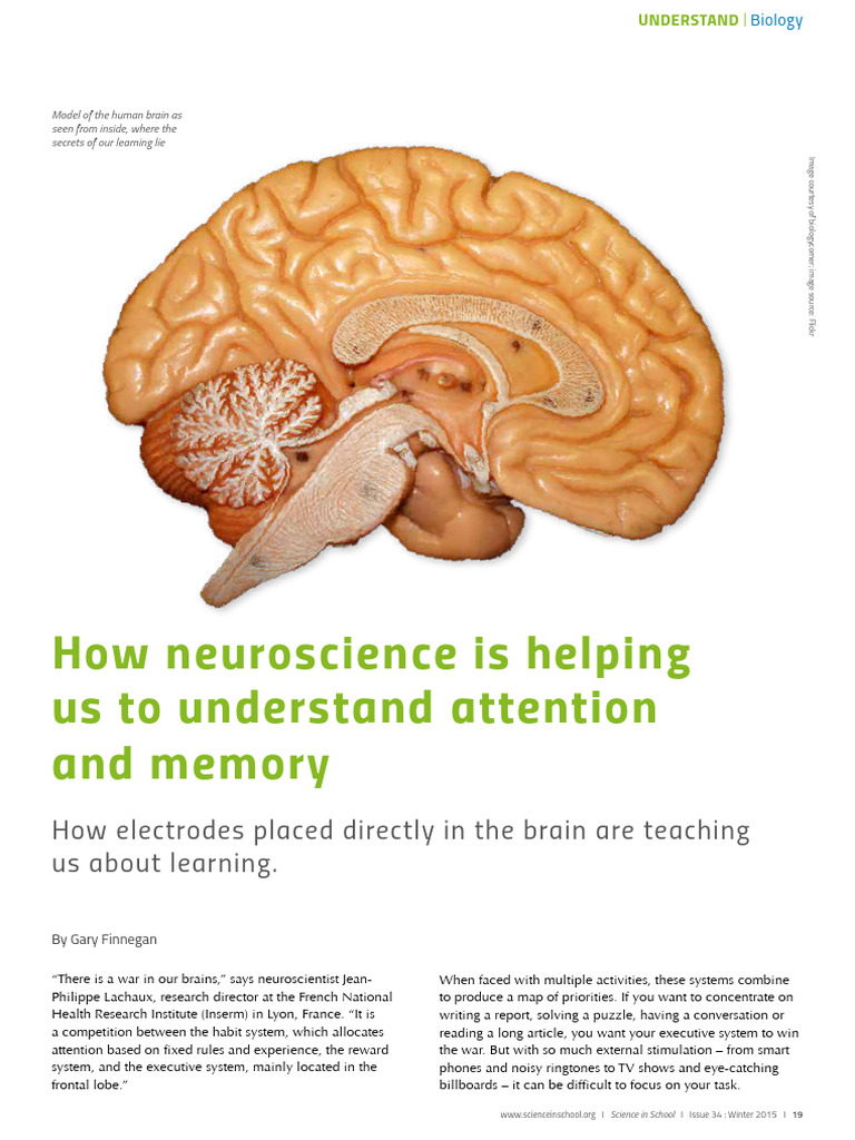 How Neuroscience is Helping Us to Understand Attention and Memory ...