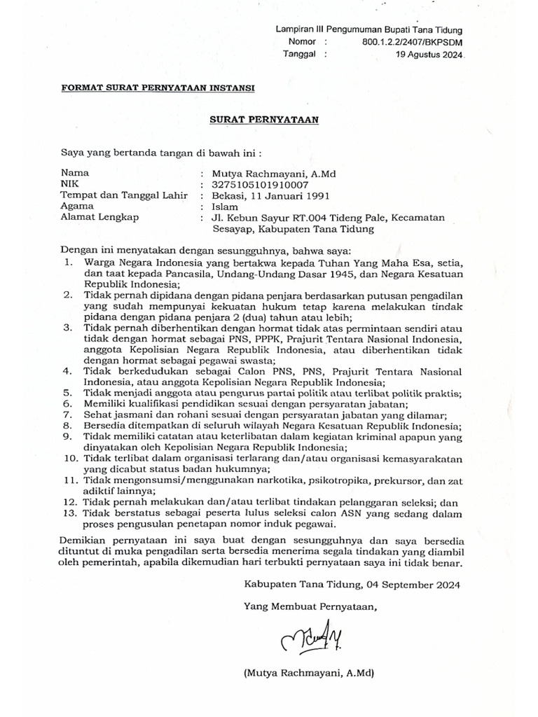 SRT Pernyataan Instansi | PDF