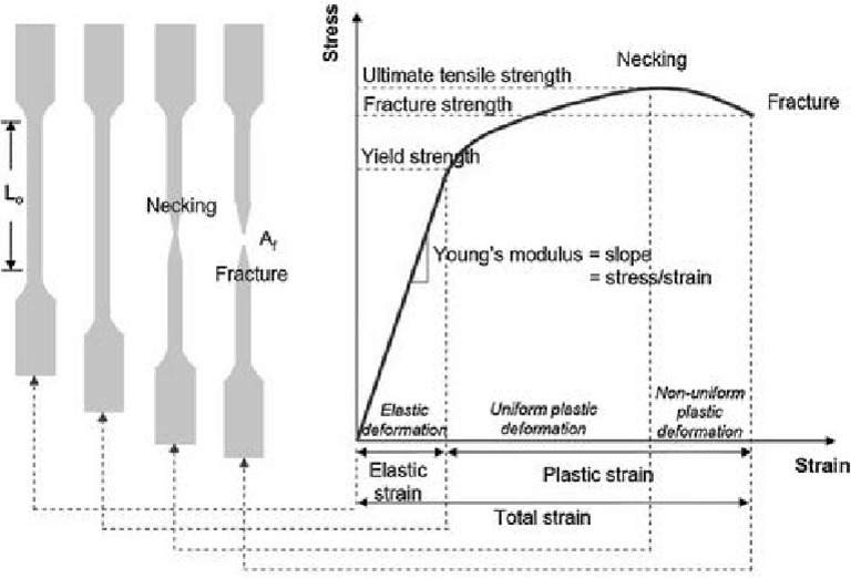 1 en 49 Fig1 HTML | PDF