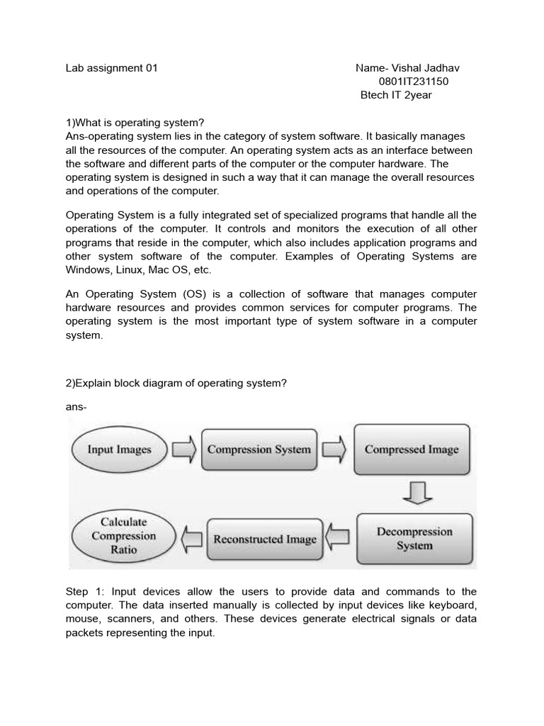 Lab Assignment 01-Compressed | PDF | Operating System | Input/Output