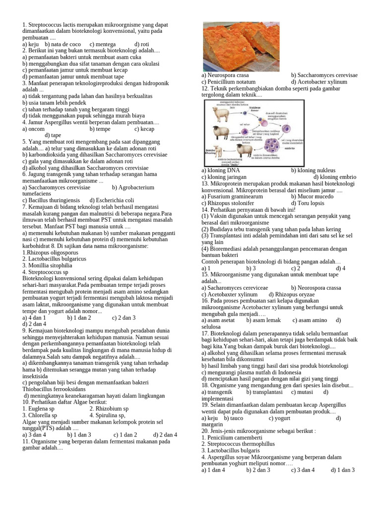 Bioteknologi X | PDF