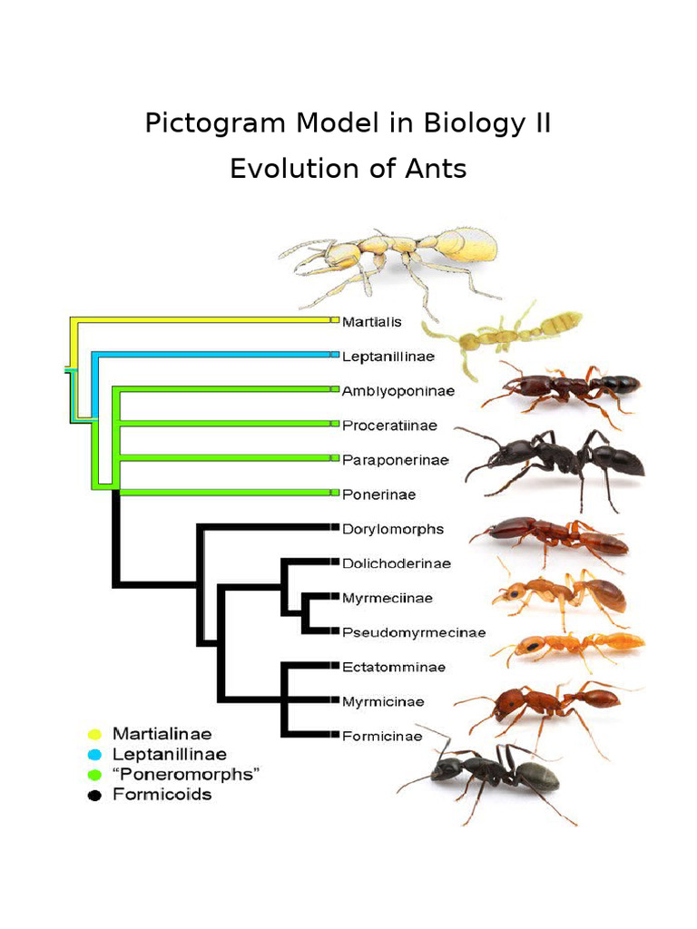 Pictogram Model in Biology II | PDF