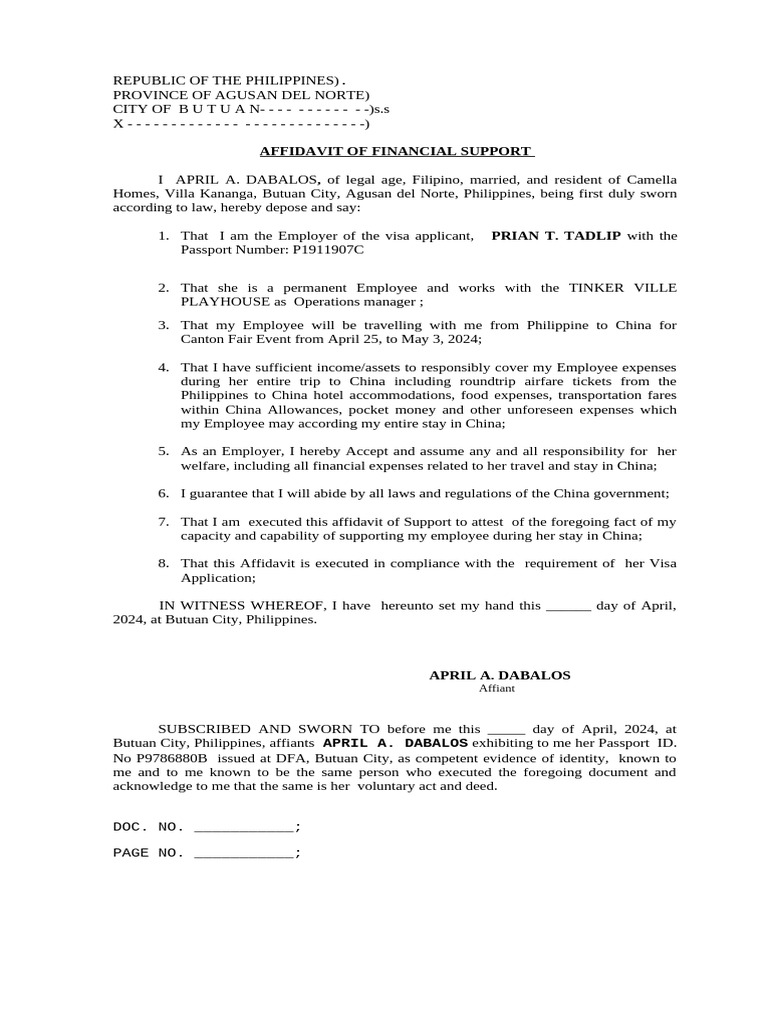 Affidavit of Financial Support for Visa | PDF | Affidavit | Government And Personhood