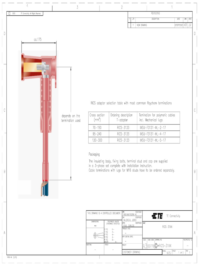 Eng CD Rics-31xx 1 | PDF