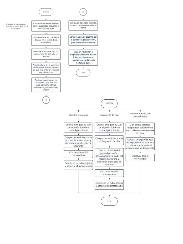 Diagramas | PDF