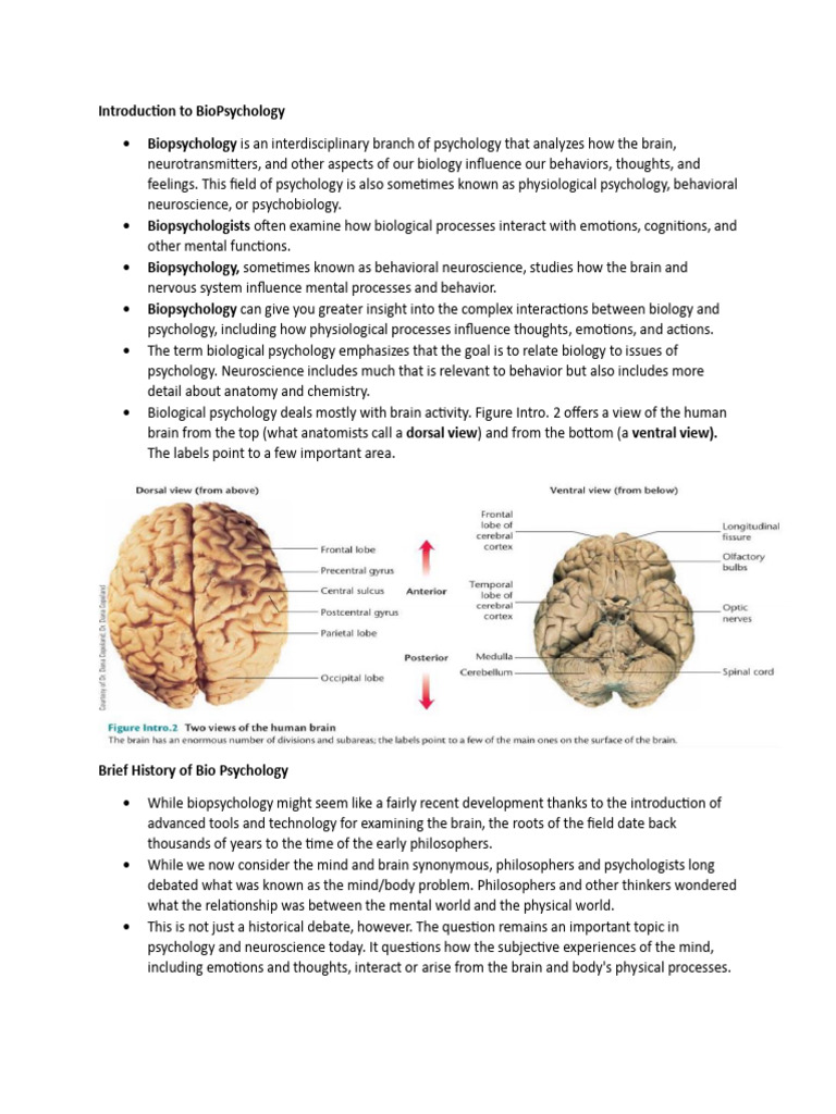 biopsych reviewer (1) | PDF | Chemical Synapse | Action Potential