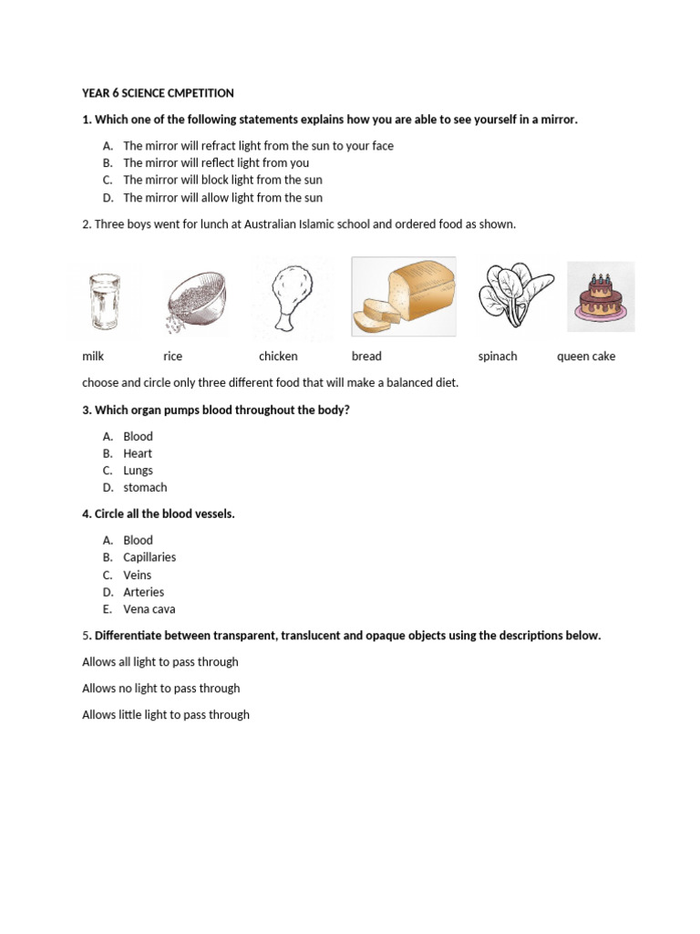 Year 6 Science Quiz Questions | PDF