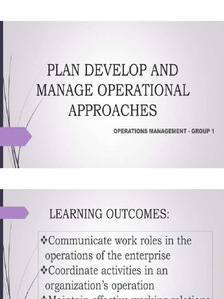 Module 1 Plan Develop | PDF