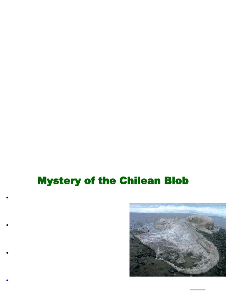 Chilean Blob DNA Analysis Insights | PDF | Sequence Alignment | Mutation
