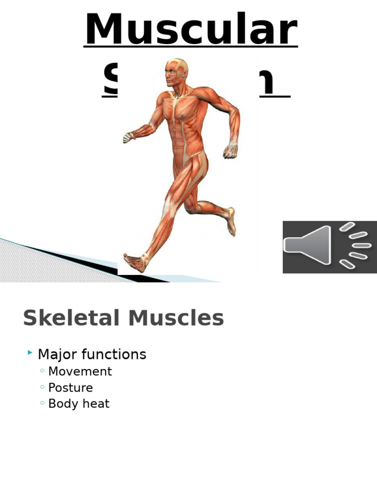 Musculoskeletal System R | PDF | Anatomical Terms Of Motion | Skeletal ...
