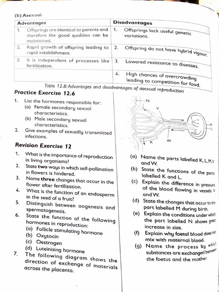 Asexual Reproduction: Advantages & Disadvantages | PDF | Reproduction ...