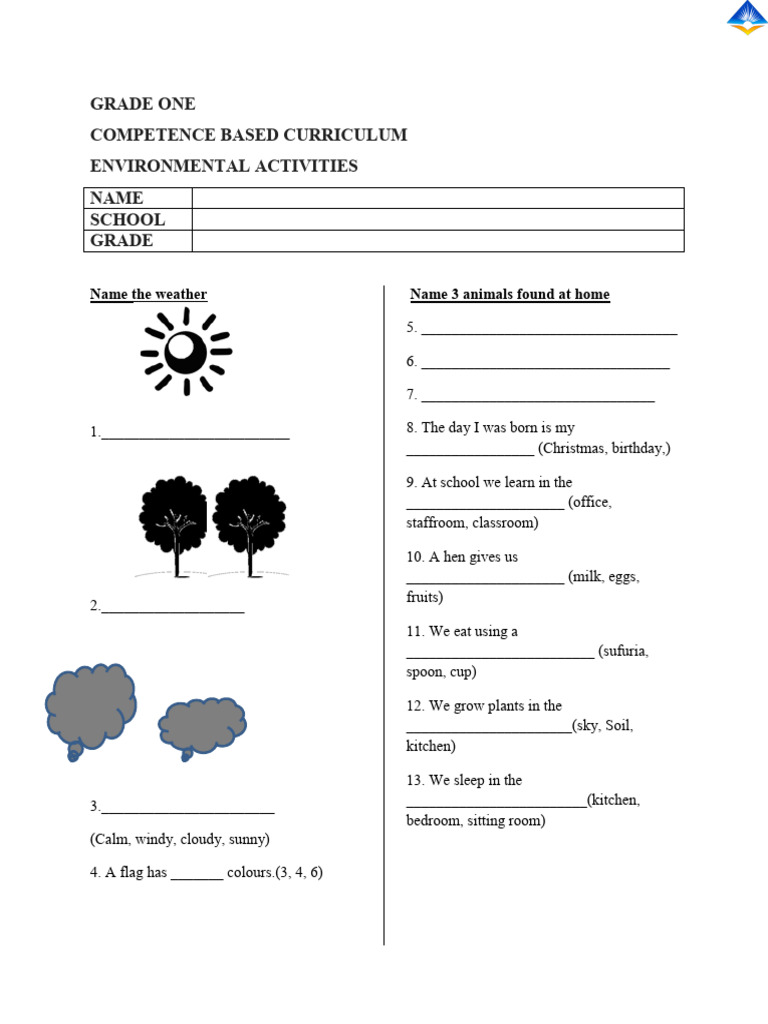 Grade One Environmental Activities Worksheet | PDF
