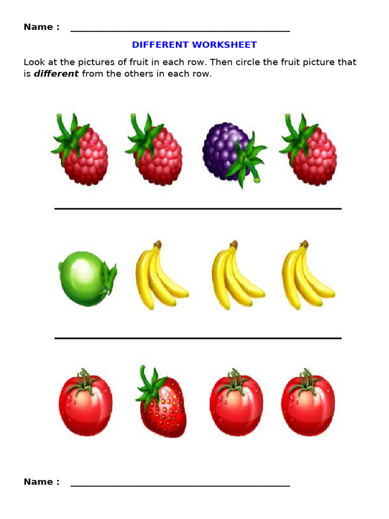 Different and Same Worksheet | PDF