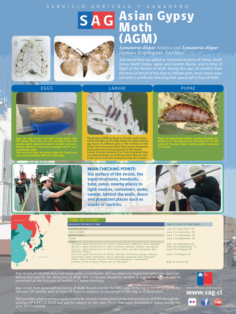 Chile_ AGM | PDF | Insects | Lepidoptera