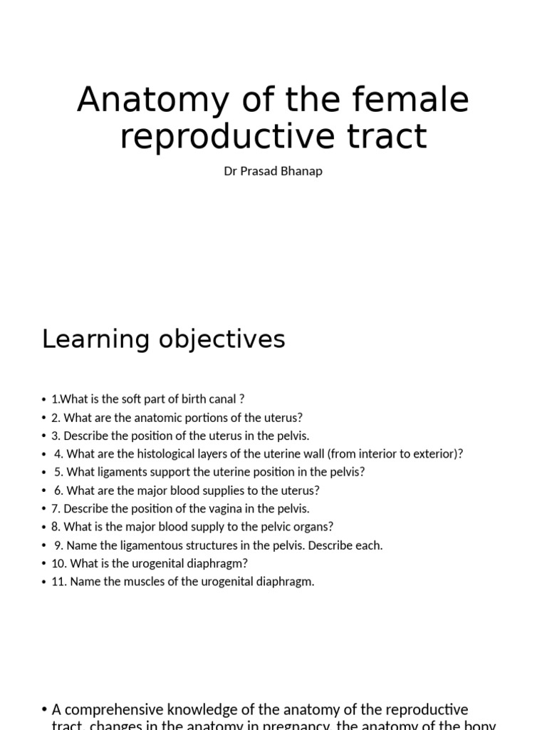 Anatomy of The Female Reproductive Tract | PDF | Childbirth | Labia