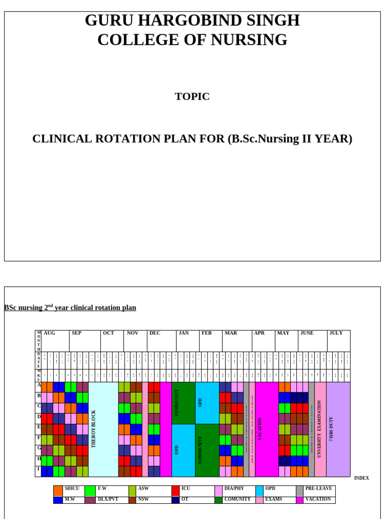 Clinical Rotation Plam Color | PDF