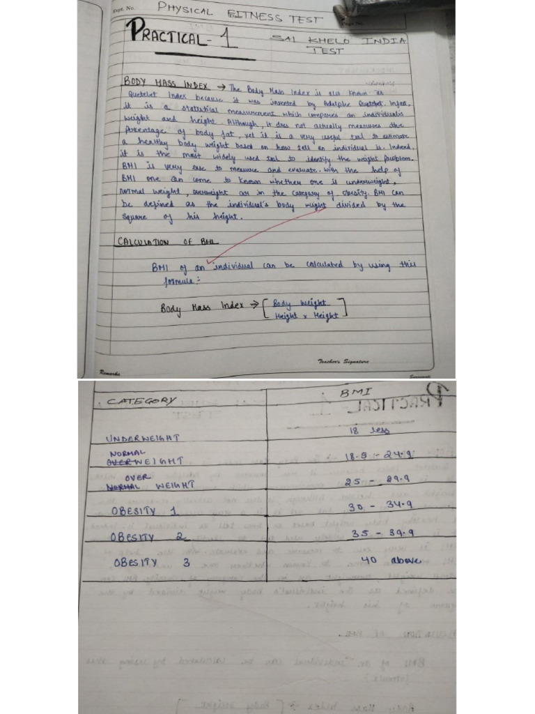 PHYSICAL ED FILE 1 | PDF