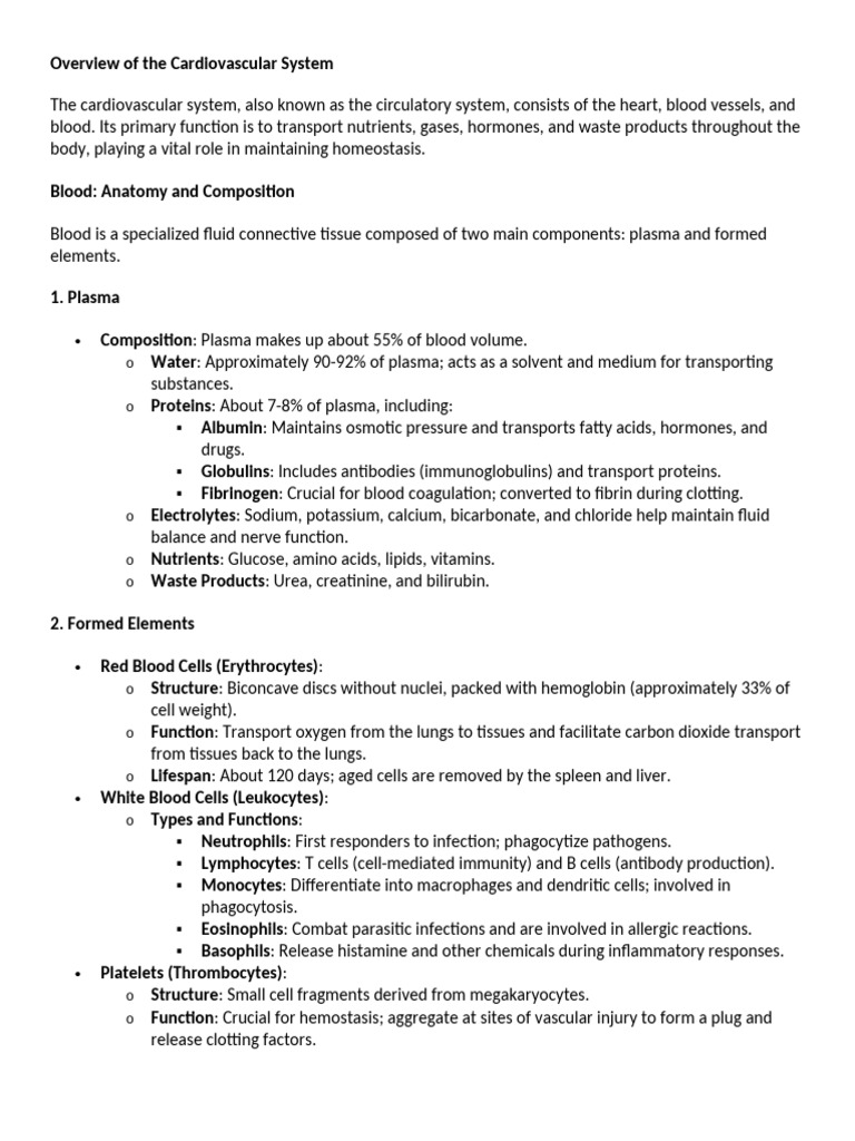 Cardiovascular System Lecture 24 25 Pdf Heart Atrium Heart
