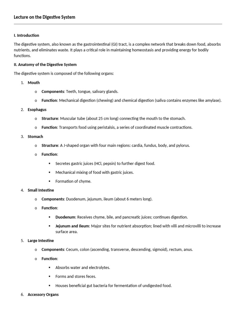 Digestive System Lecture 24-25 | PDF | Digestion | Human Digestive System