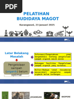 Classification Lalat BSF | PDF