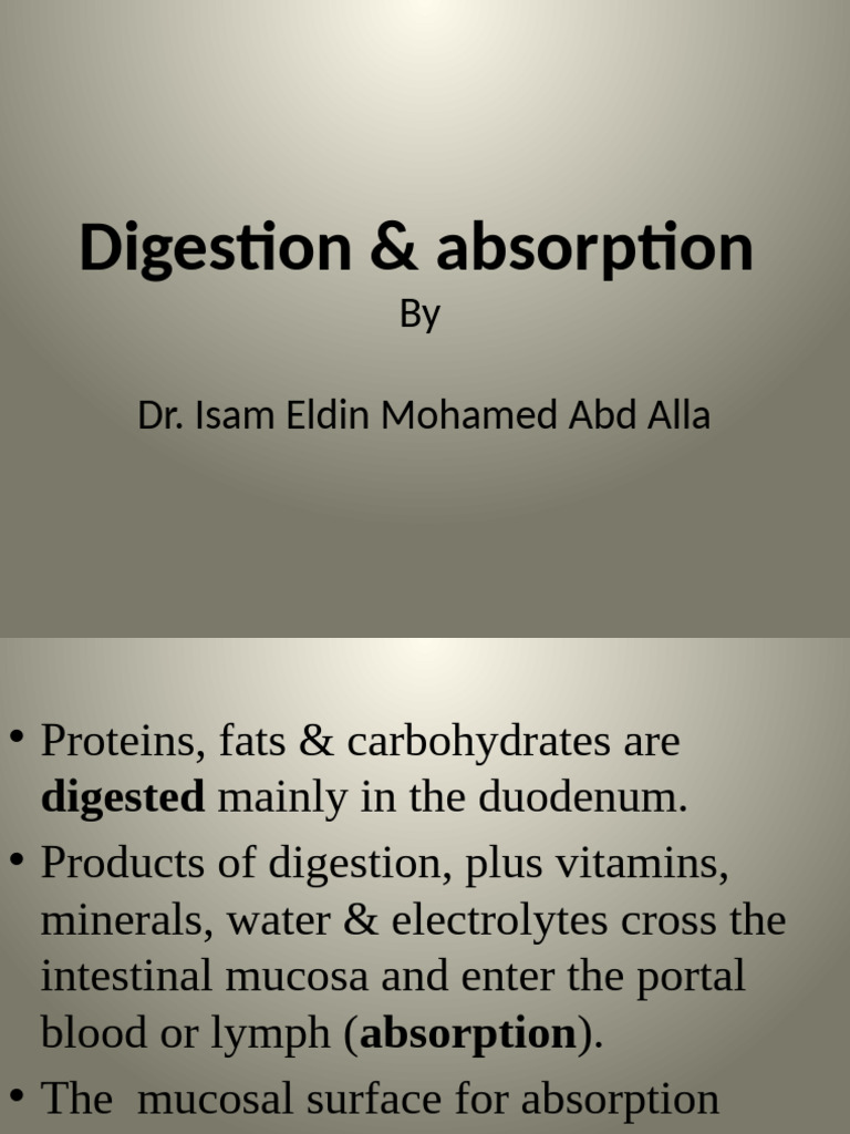 9 - Digestion & Absorption | PDF | Digestion | Glucose