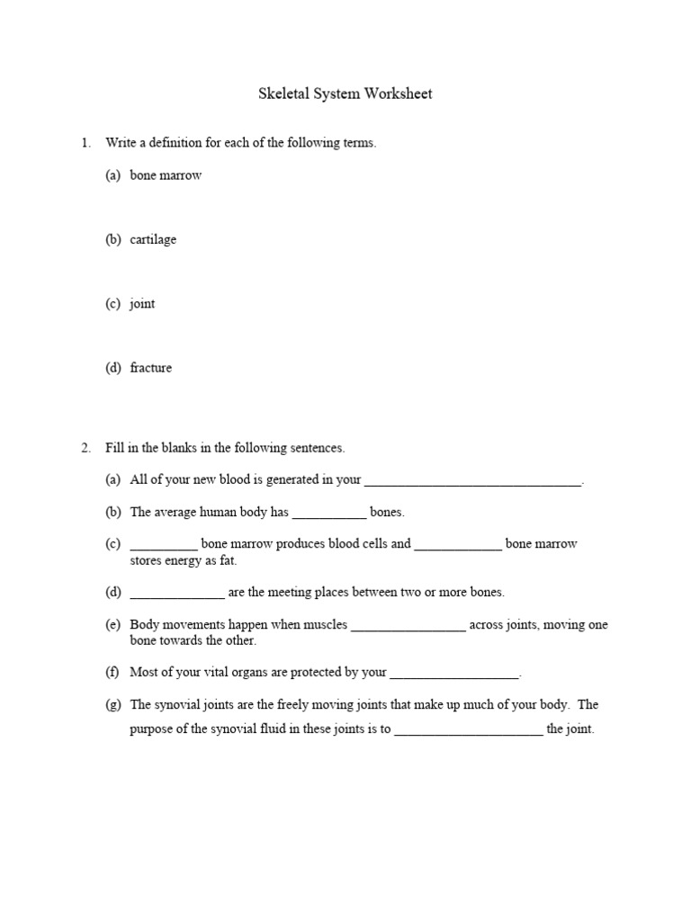 Skeletal System Worksheet | PDF | Skeleton | Bone