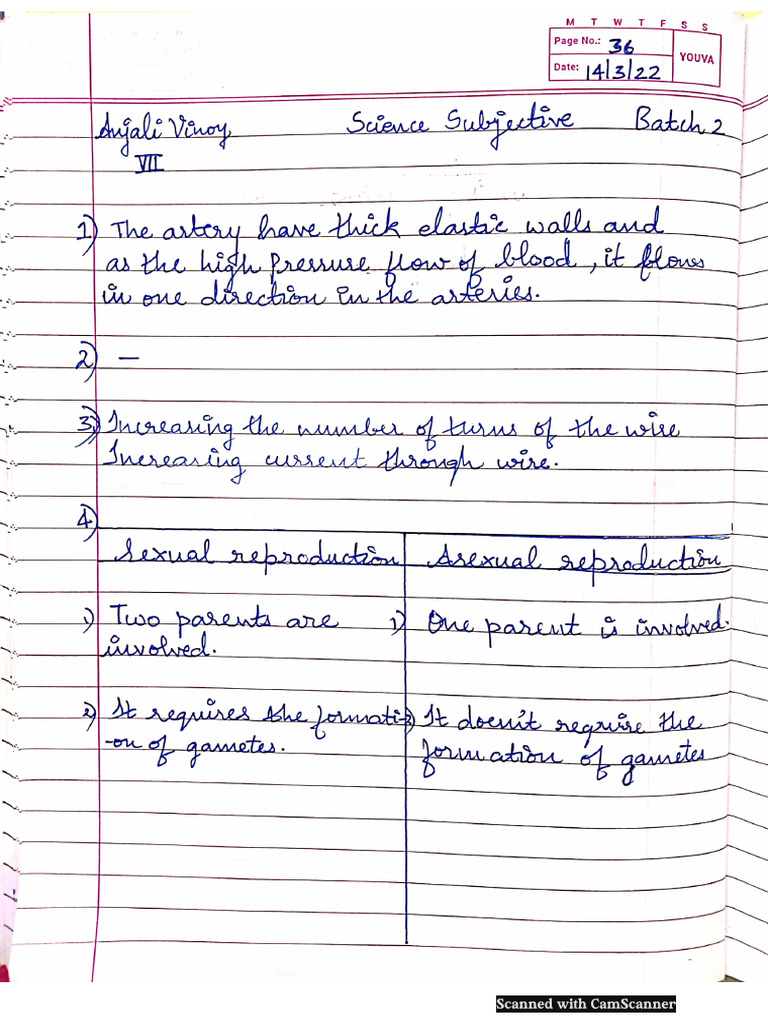 Science Subjective Paper | PDF