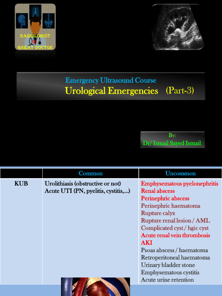 Emergency US Course - Lecture 05 - Urological Emergencies Part-3 | PDF ...