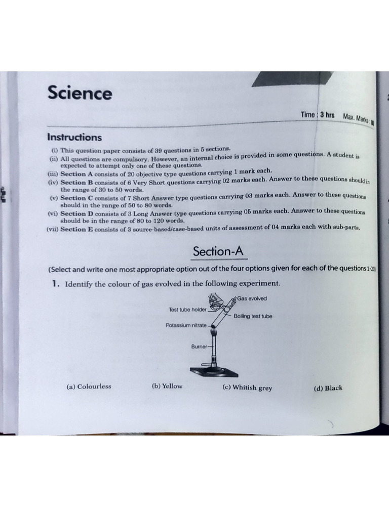 class 10 paper | PDF