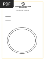 Protective Foods | PDF