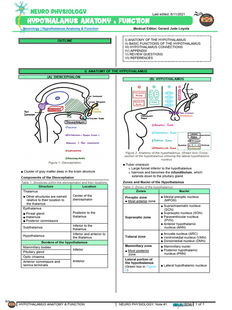 079 Neurology Physiology Hypothalamus Anatomy & Function | PDF | Hypothalamus | Limbic System