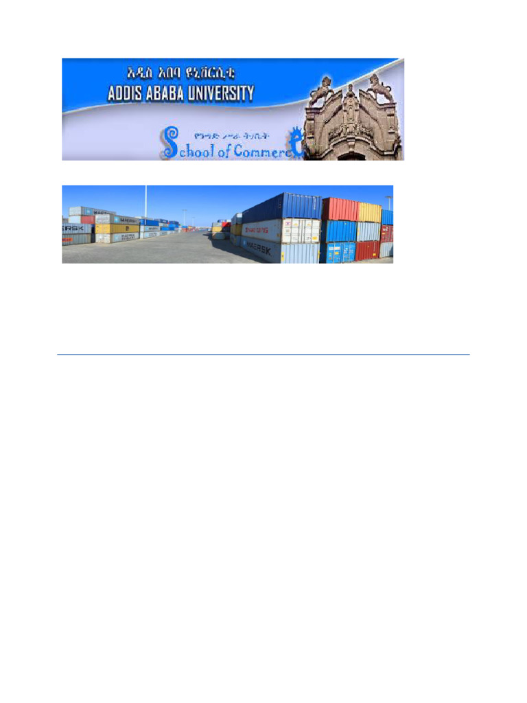 Hailemariam Abera | PDF | Containerization | Cargo