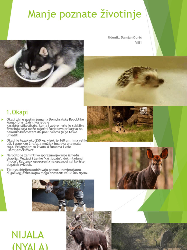 Manje Poznate Životinje | PDF