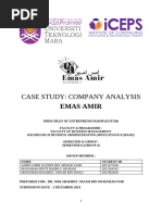 Ent530 Case Study - Company Analysis - Merindu Savior | PDF | Entrepreneurship | Business