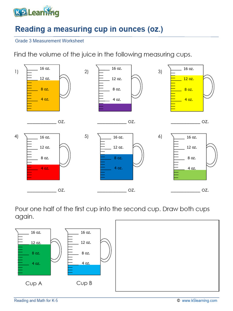 Grade 3 Capacity Reading Measuring Cup | PDF