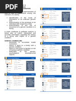 Estefania Fernandez - Lab Activity - Blood Type Pedigree Mystery | PDF ...