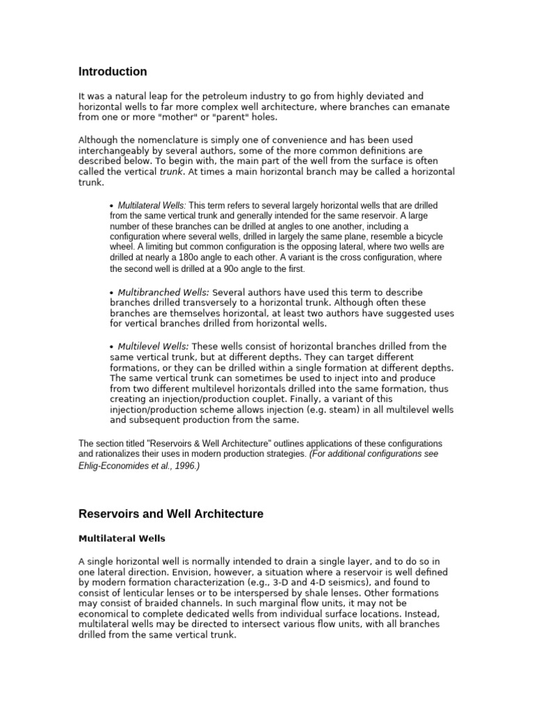 Multilateral, Multibranched and Multilevel Wells | PDF | Petroleum ...