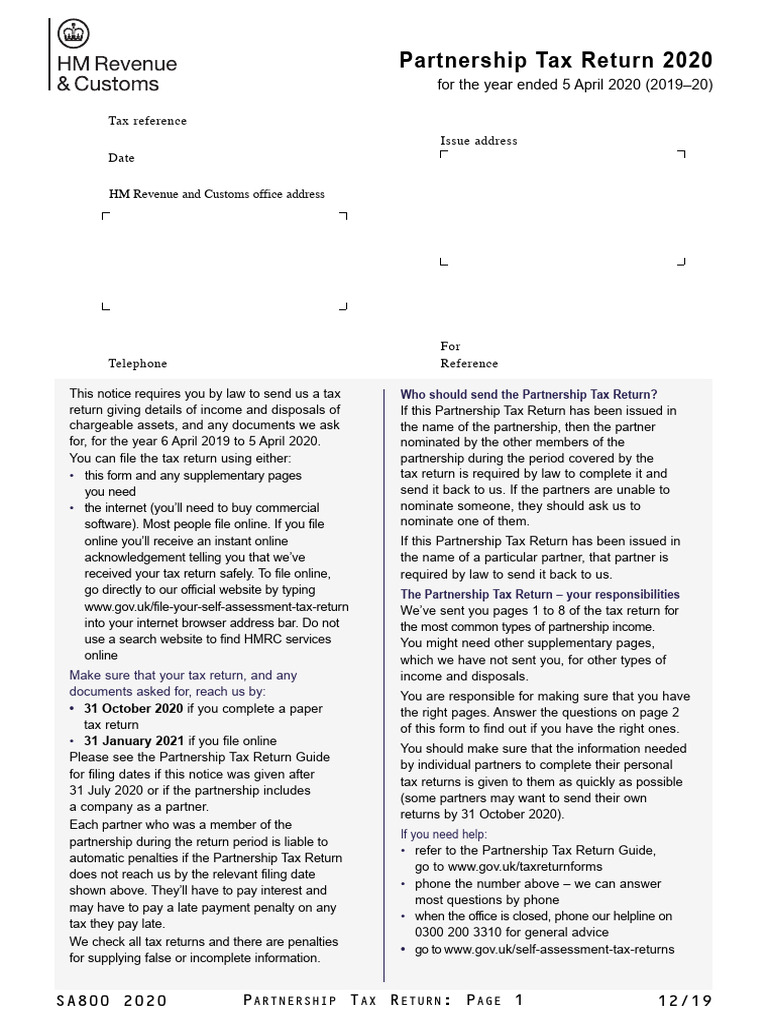 25 Testing Company Practice Partnership Test2 - SA800 - Form - (2019 ...