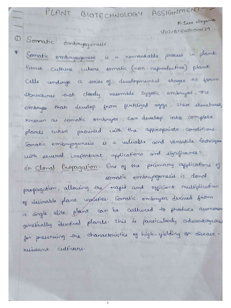 PBT Assignment 1 | PDF