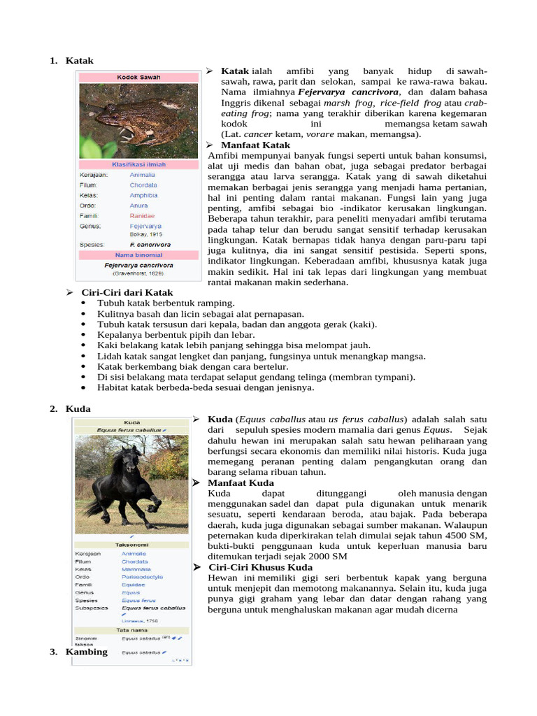 Klasifikasi Hewan 2 | PDF