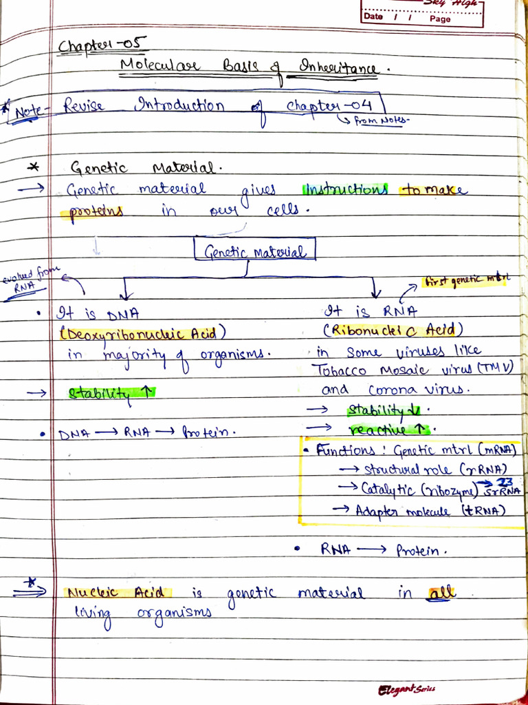 Mol Bio Class Notes | PDF