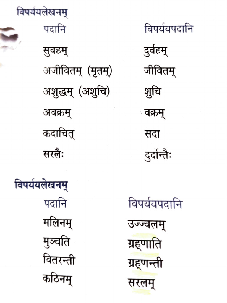 Antonyms | PDF