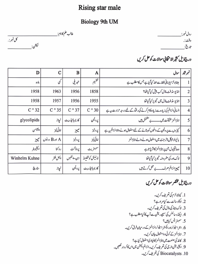 9th Boys Today | PDF