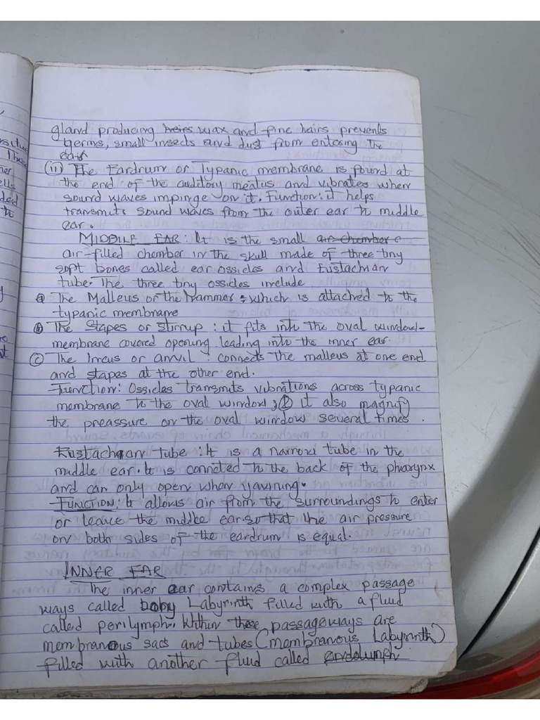 Psychobiological Study of Human Behavior | PDF