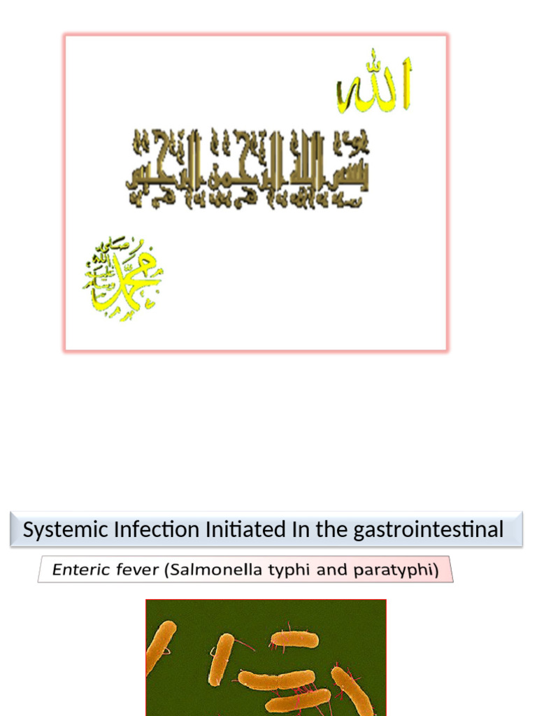chapter 7 salmonella typhi and paratyphi | PDF | Salmonella | Lymphatic ...