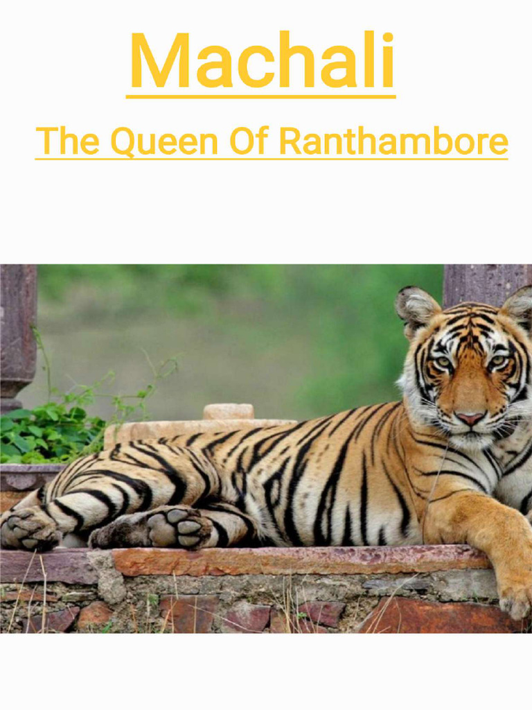 Machali Compressed | PDF