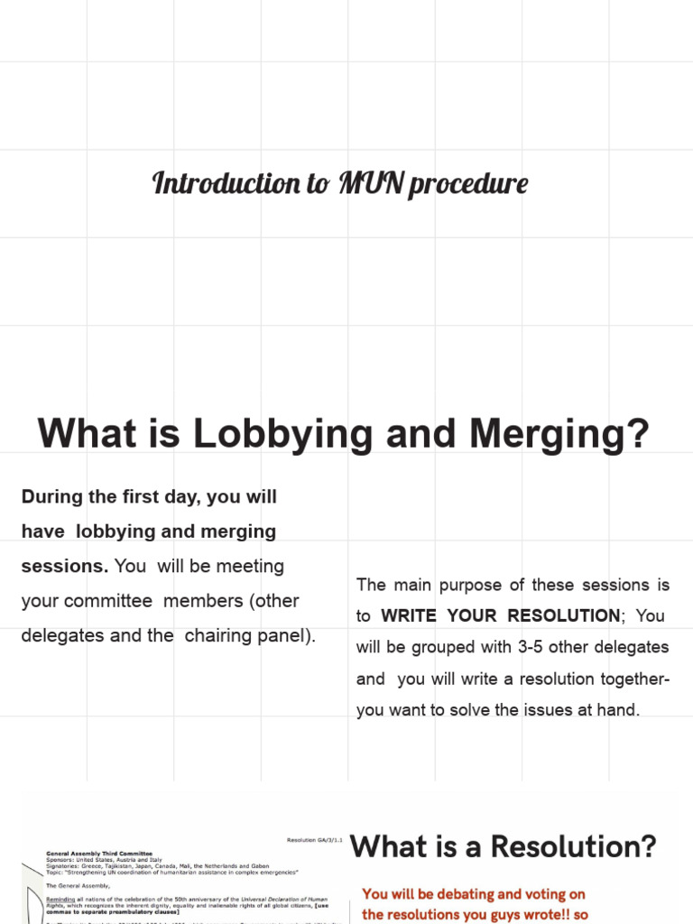 Introduction To MUN Procedure | PDF | Committee | Parliamentary Procedure