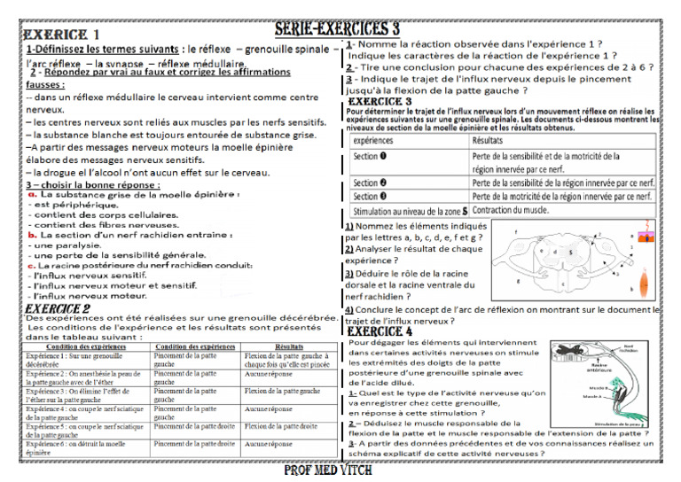 Série D'exercice 3 3AC | PDF