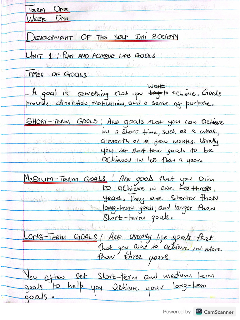 Grade 11 Term 1 2025 | PDF