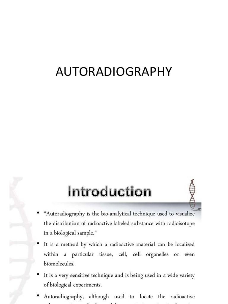 AUTORADIOGRAPHY | PDF
